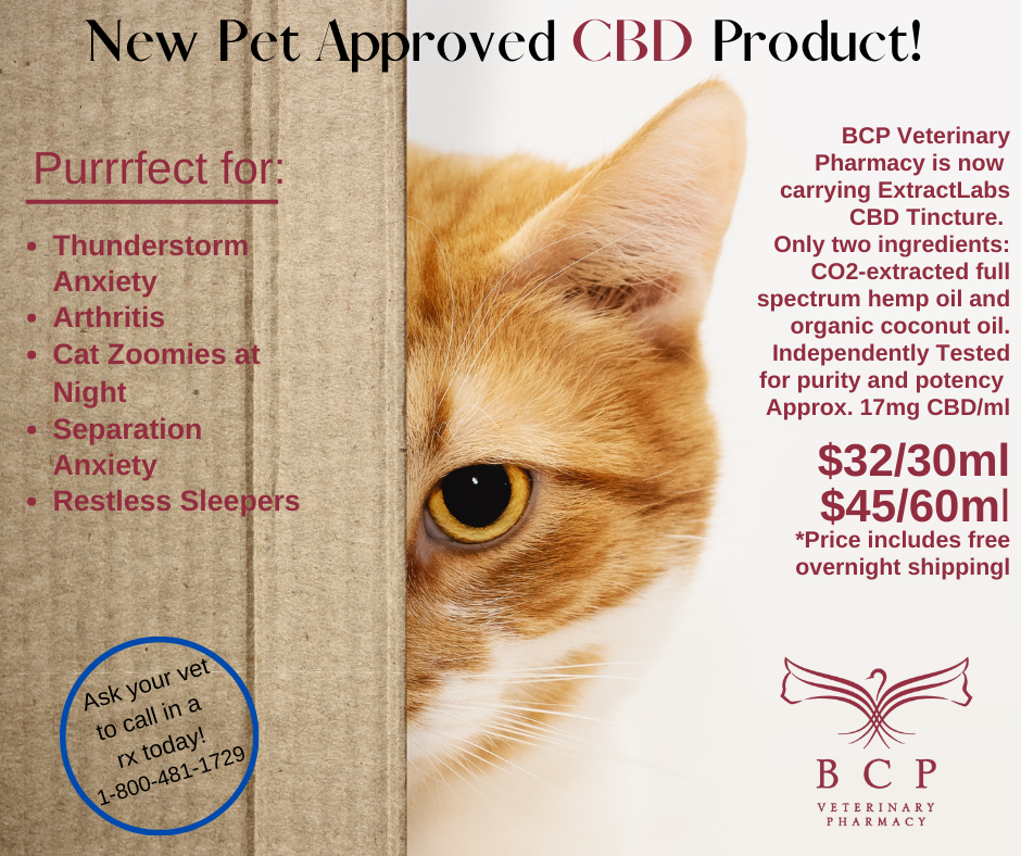 BCP Veterinary Pharmacy | Pet Pharmacy Houston, Texas